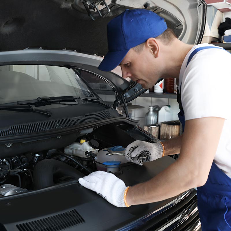 Auto Care – Greenlite Transport